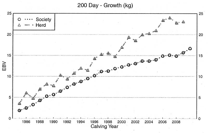 GlenAnthony Simmental Genetic Trends | Glenanthony Simmentals