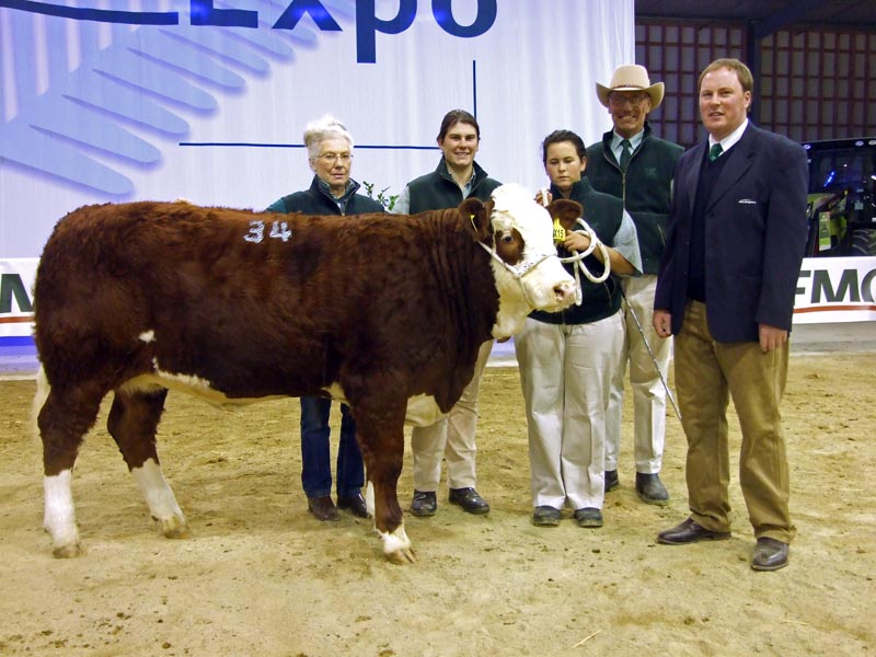2010: An outstanding year | Glenanthony Simmentals