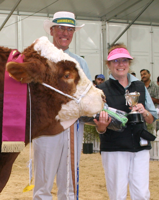 A History of Glen Anthony Simmental Stud | Glenanthony Simmentals